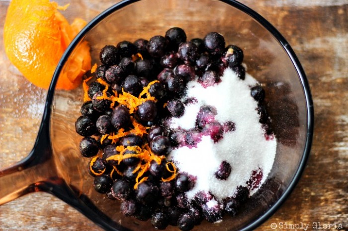 Blueberry Frozen Custard Pops - Simply Gloria