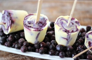 Blueberry Frozen Custard Pops - Simply Gloria